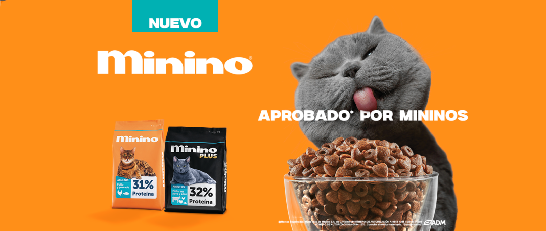 Inicio - Minino