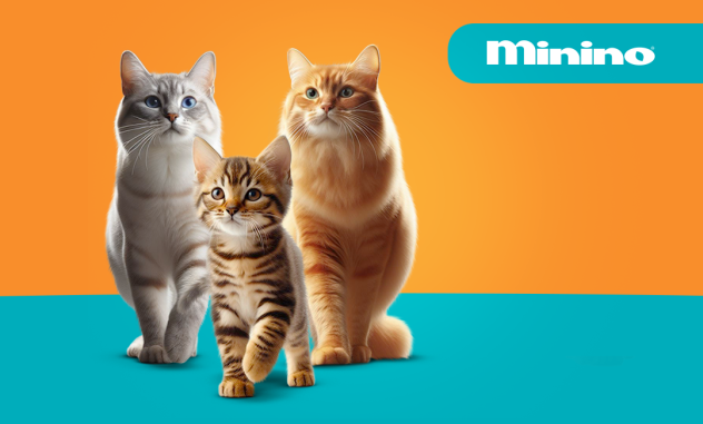 ¿Por qué esterilizar a tu minino? - Minino