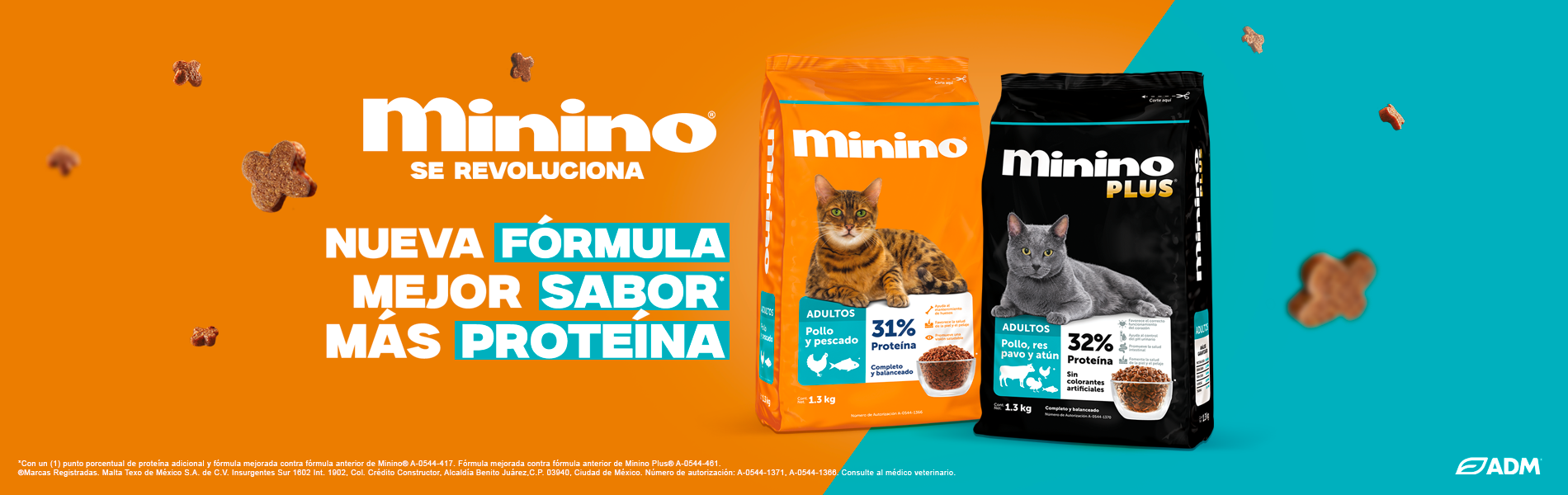 Inicio - Minino