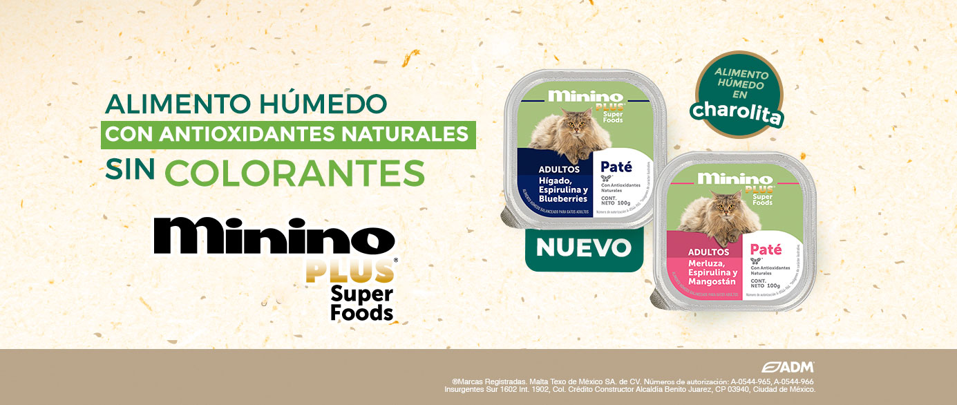 Inicio - Minino